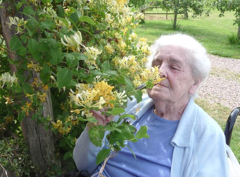 GROWING POINT HEREFORDSHIRE