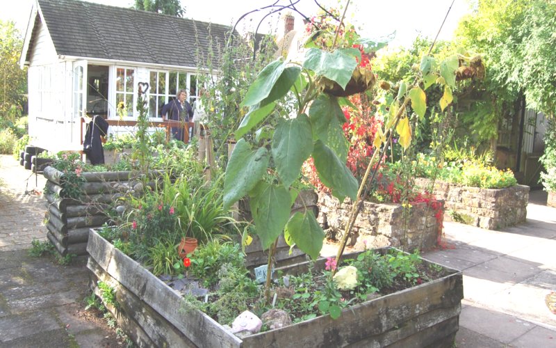 OUR SERVICES | GROWING POINT